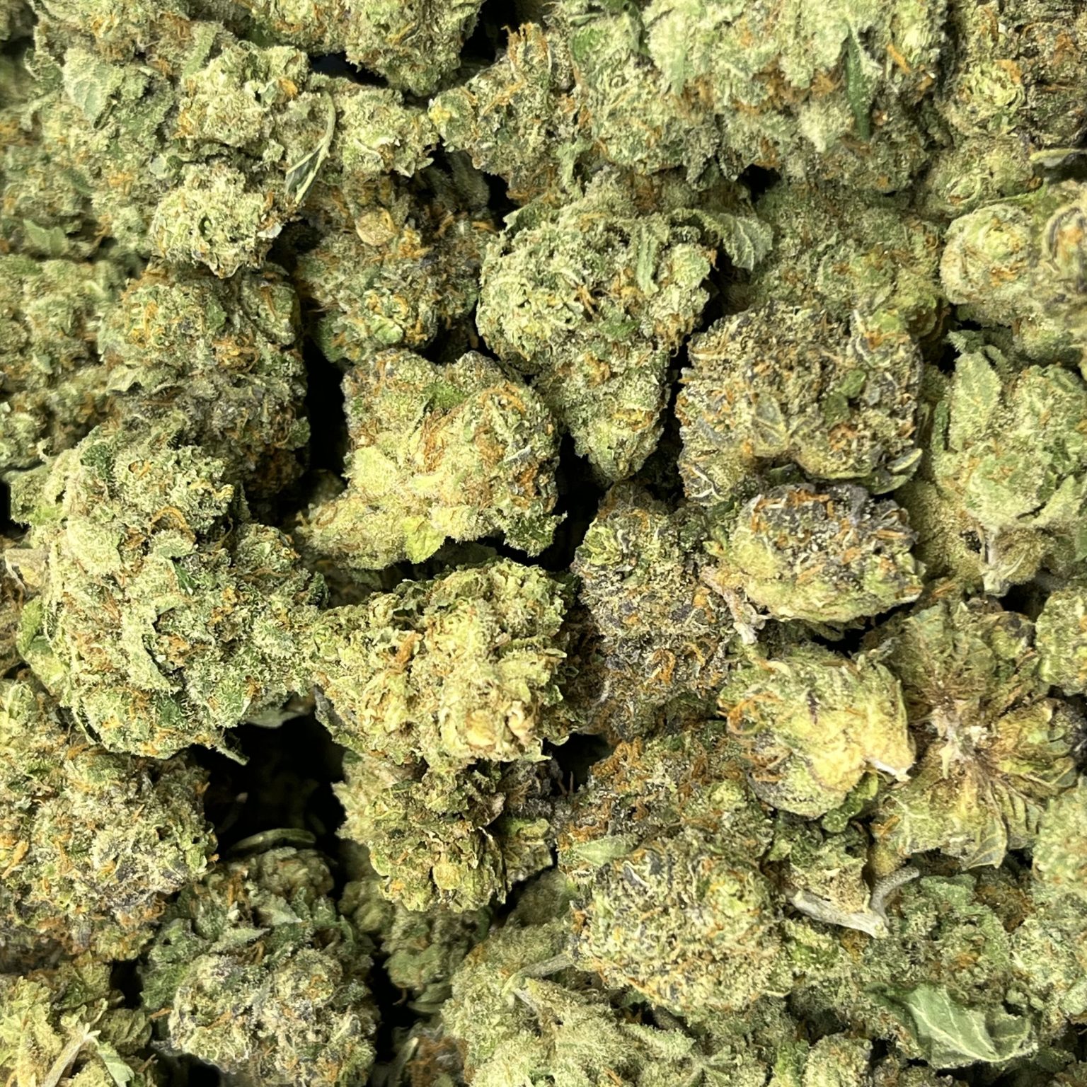 Gary Blanco – The Medicinal Cannabis Dispensary