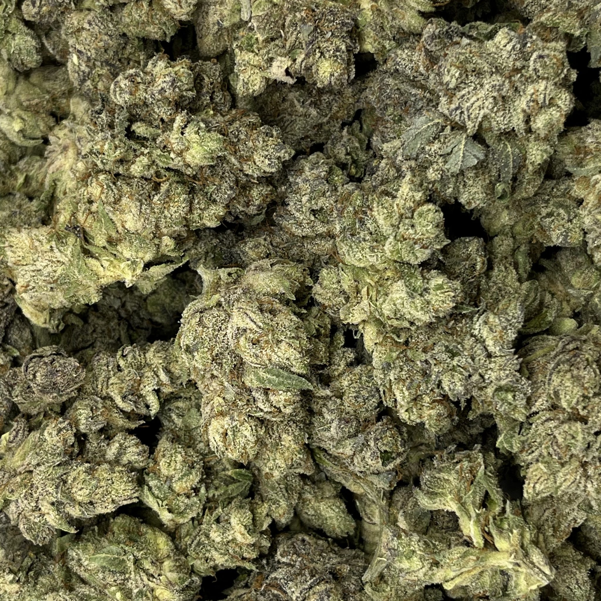 Devil Driver – The Medicinal Cannabis Dispensary