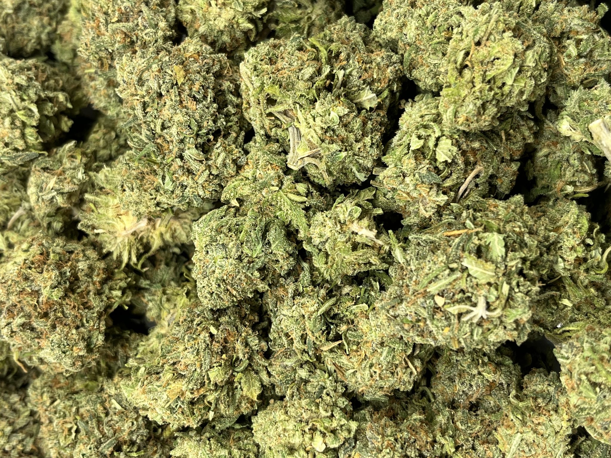 Lemon Haze – The Medicinal Cannabis Dispensary